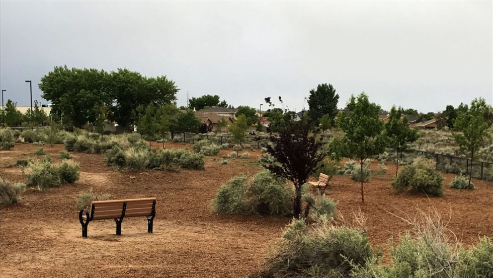 Trails Ventana Ranch 4 Mile Loop | ABQ Runner