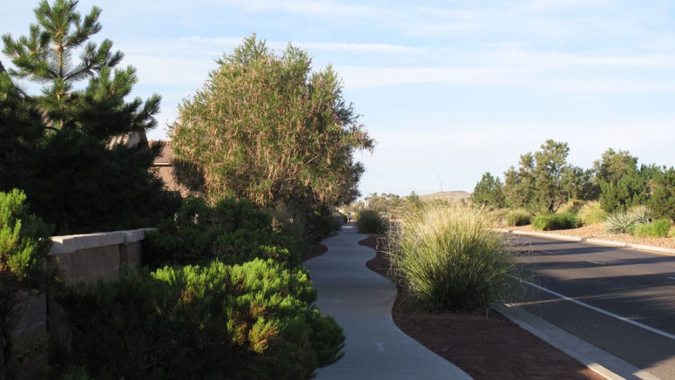 Trails Ventana Ranch 4 Mile Loop | ABQ Runner