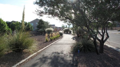 Trails Ventana Ranch 4 Mile Loop | ABQ Runner
